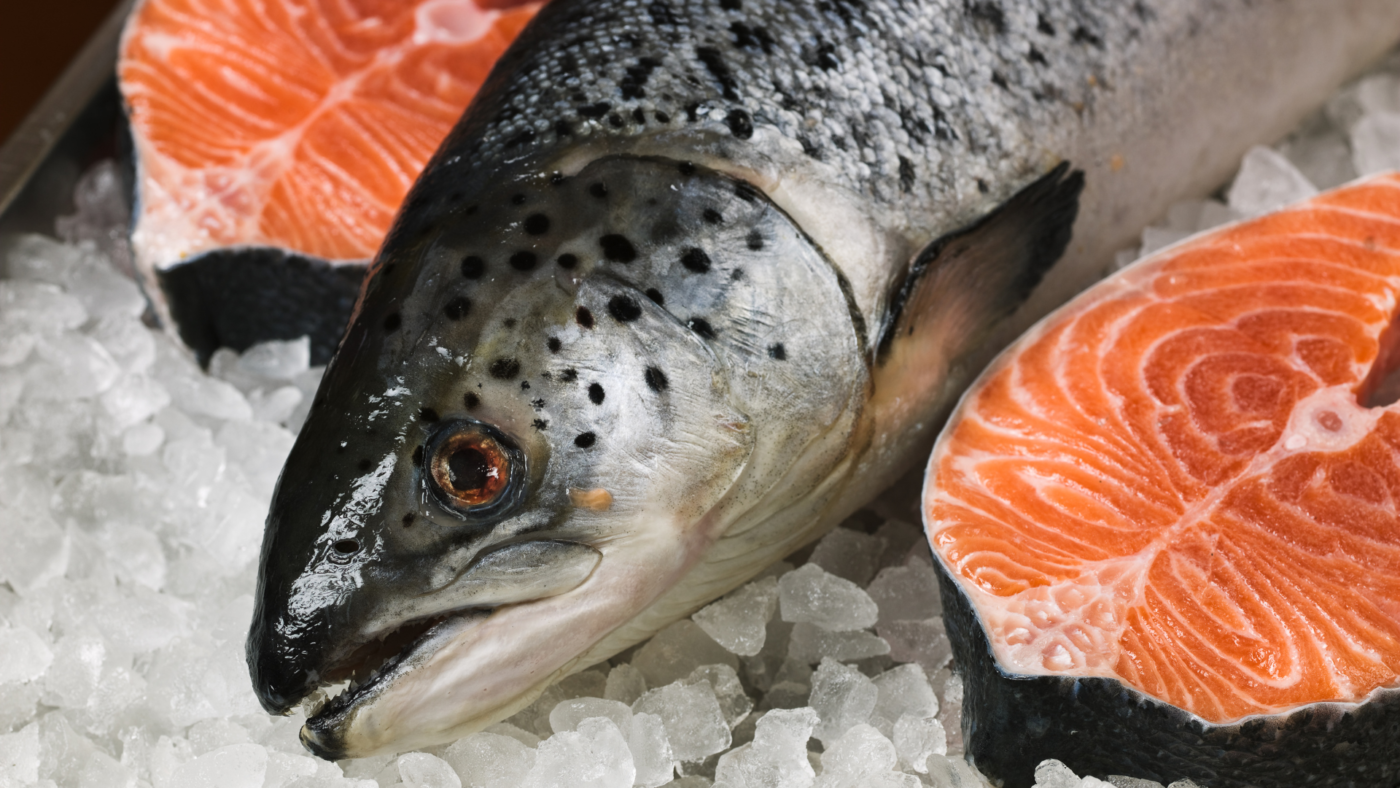 SALMÃO INTEIRO - Manati