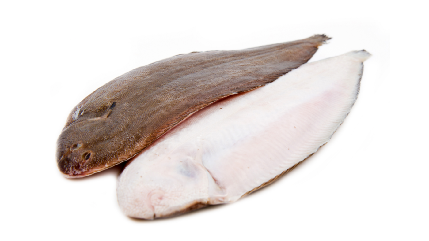 FILÉ DE LINGUADO - Manati